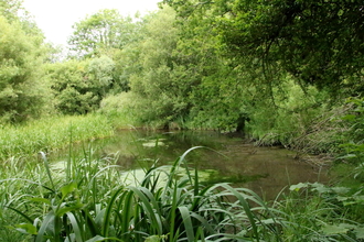 Explore a nature reserve | Wiltshire Wildlife Trust