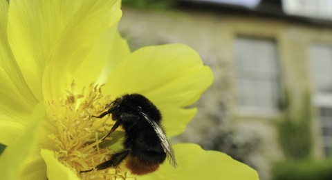 Wiltshire Wildlife Trust's Corporate Supporters