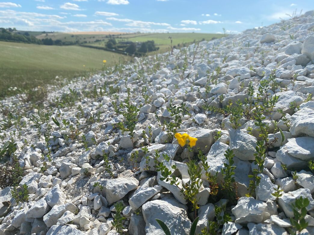 Nature Recovery Fund | Wiltshire Wildlife Trust