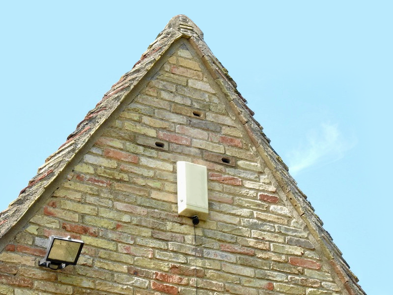 5 things you can do to help swifts | Wiltshire Wildlife Trust