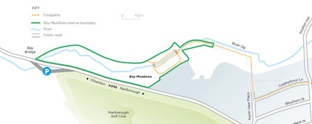 Bay Meadows | Wiltshire Wildlife Trust