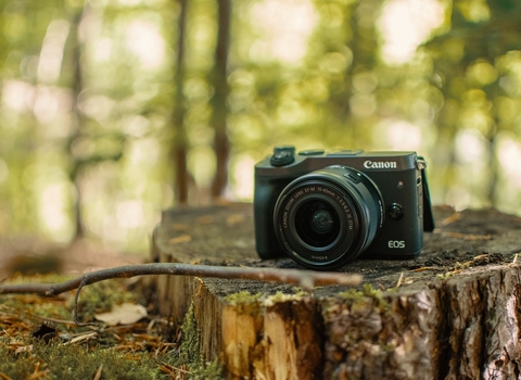 Wiltshire Wildlife Trust